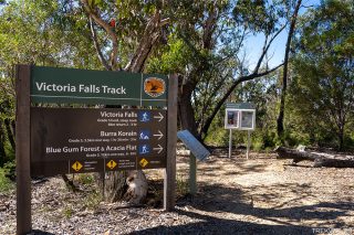 Victoria Falls Walking Track | Blue Mountains Hiking - Trek Waves