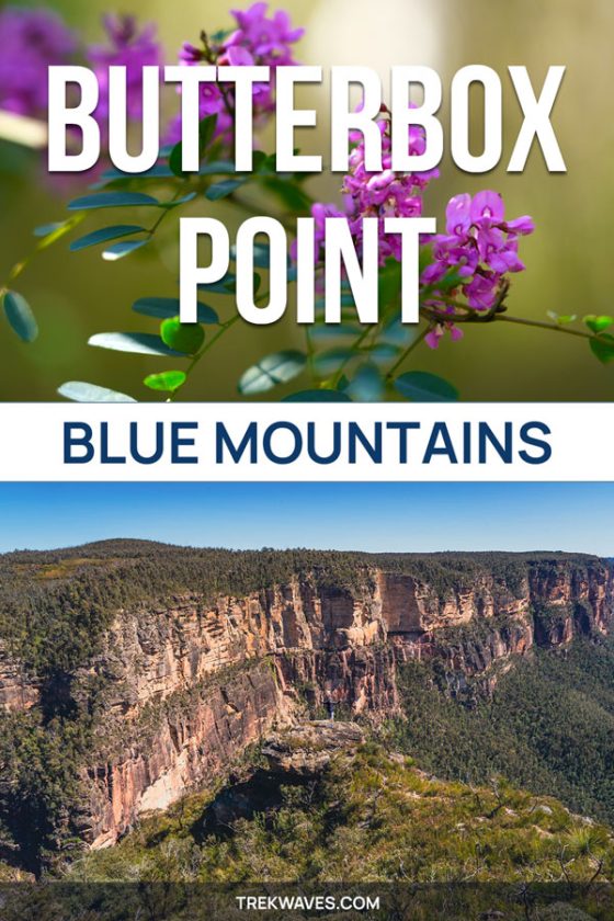 Butterbox Point Trail Guide | Scenic Hike in Blue Mountains - Trek Waves