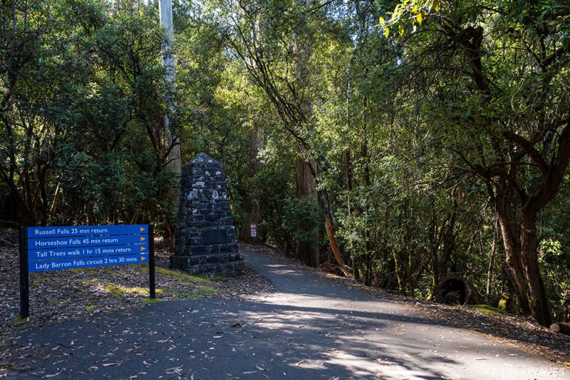 Three Falls Circuit Walk | Mt Field National Park - Trek Waves
