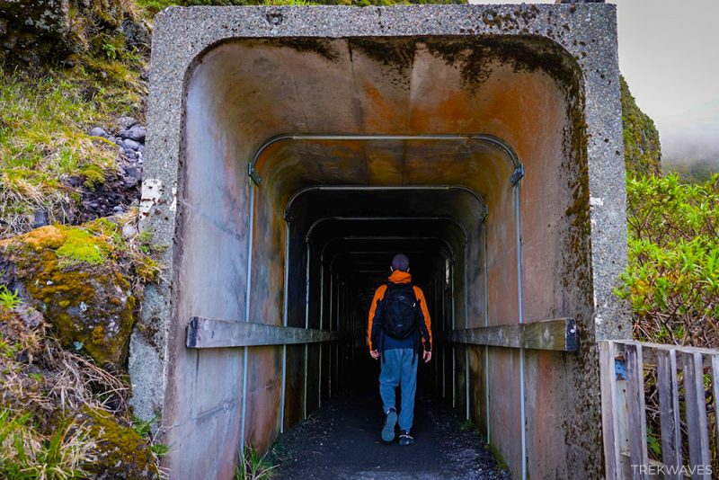 Manganui Gorge Track Guide | Best Easy Walk Near Mt Taranaki - Trek Waves